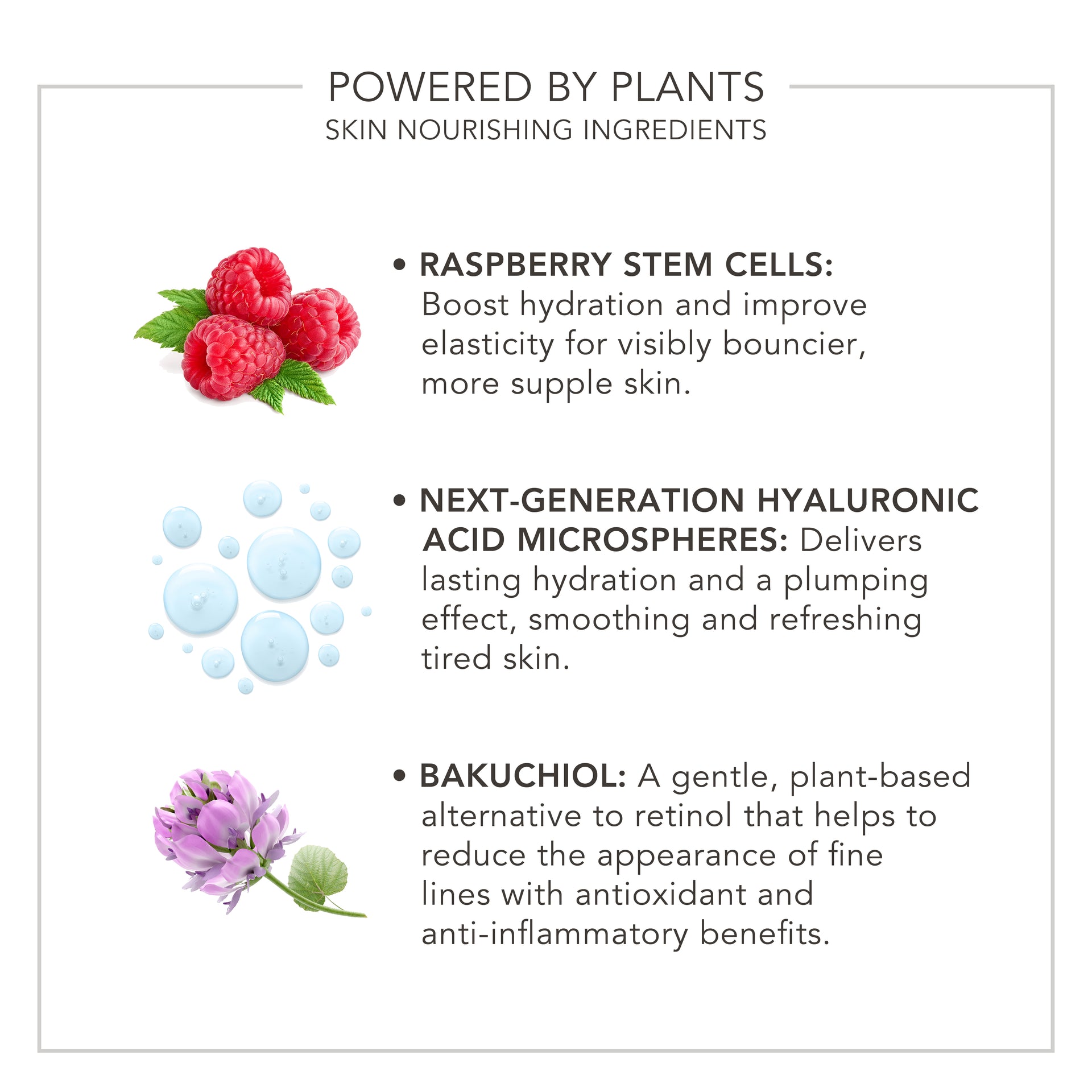 Wake Up | Radiant Elixir – delilah